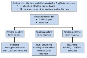Clostridioides difficile Testing Algorithm Update – Corewell Health ...